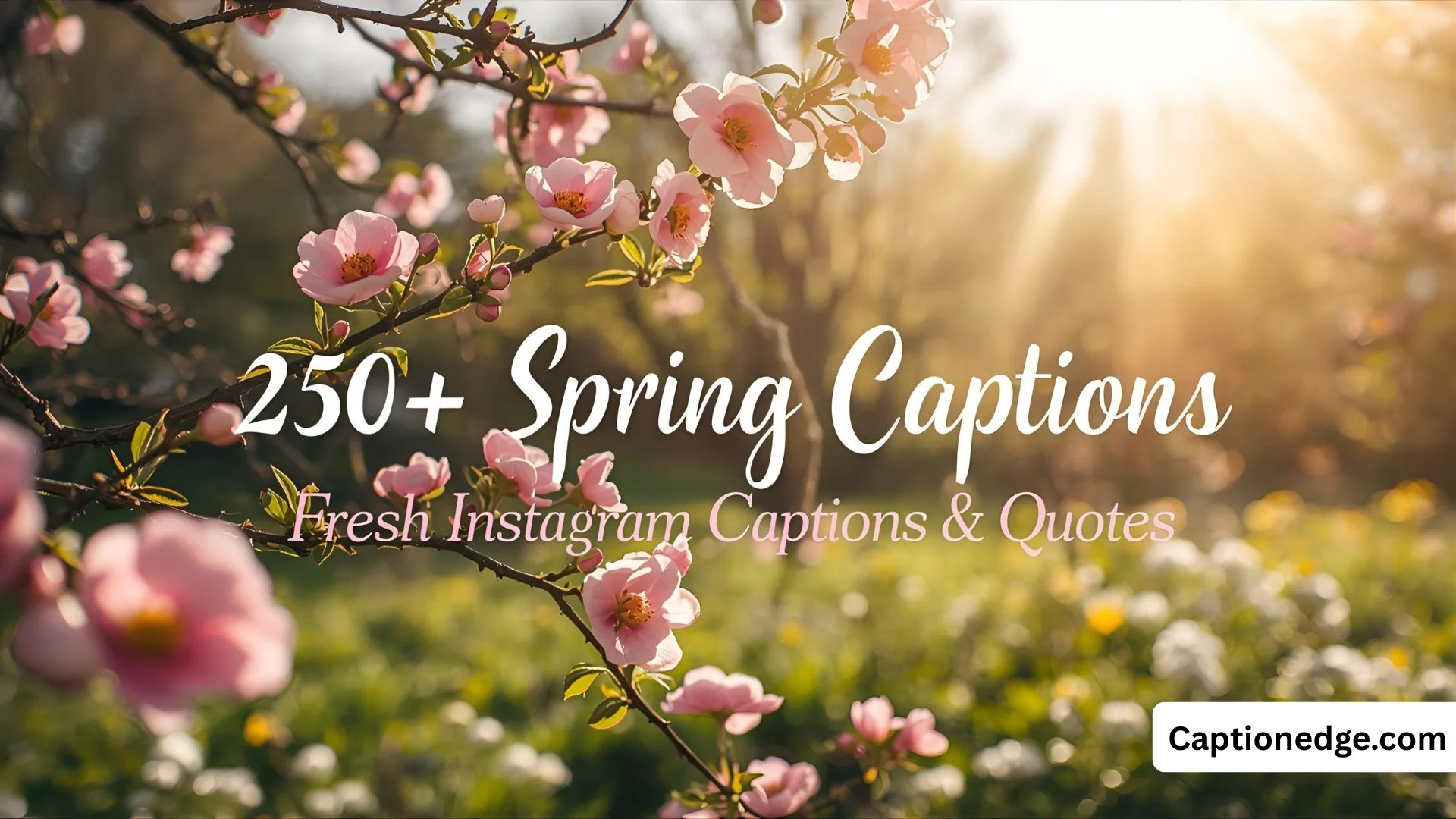 250+ Spring Captions: Fresh Instagram Captions & Quotes 🌸🌼
