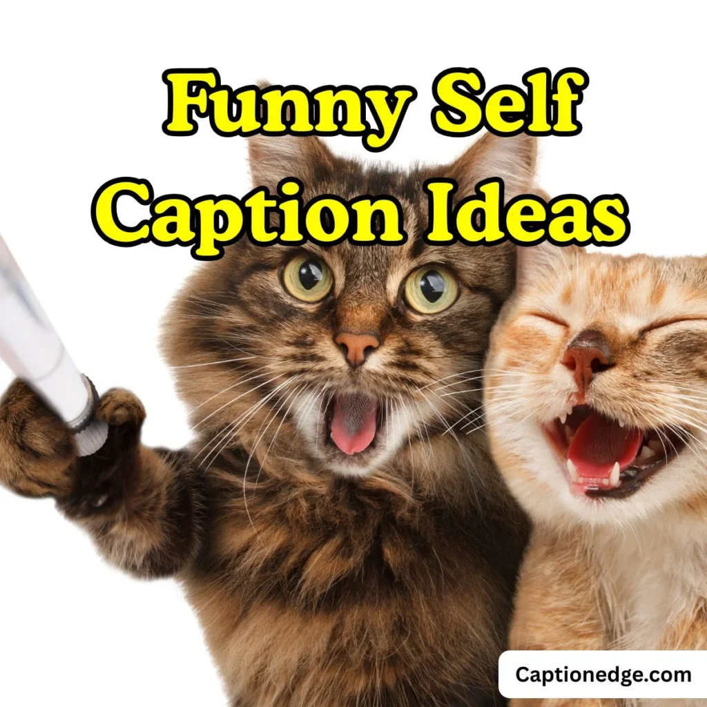 250+ Self Captions for Instagram & Social Media 📸
